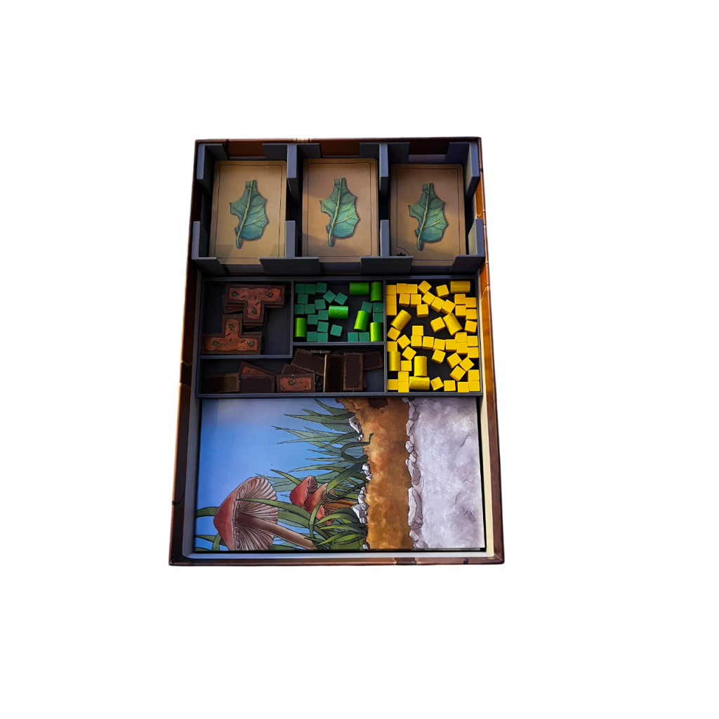 Insert compatible - Fourmis - Boutique Philibert